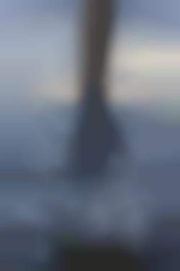 Translucent Hand Paintings : Hand Paintings