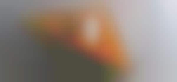 Folding Latrine Ledges : Easy to Put Shelf