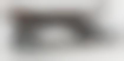 Surfing on Land: The SoulArc Skateboard