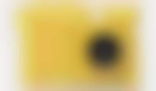 Tiny Cheese Cameras : Chobi Cam Cheese