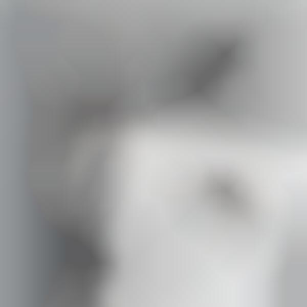 Realistic Creepy Crawly Tacks : insect push pins