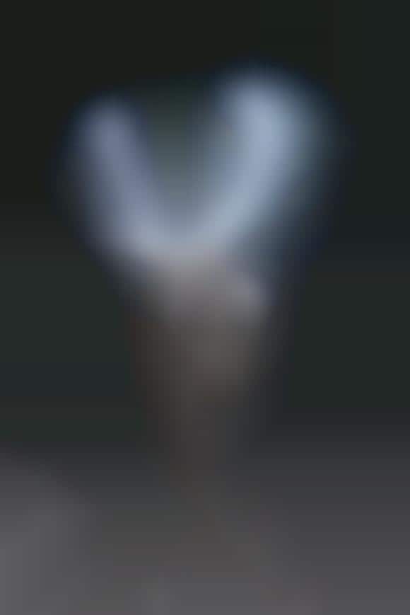 Reflective Reindeer Antlers : reindeer antler