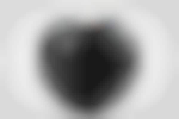 Faceted Panoptic Cameras : 360Fly Camera