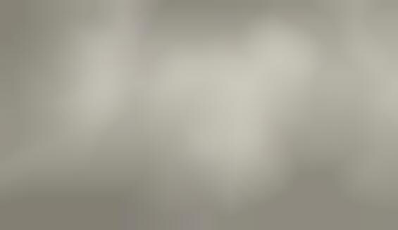 Gruesomely Flattened Bodies : Skin by June Yong Lee