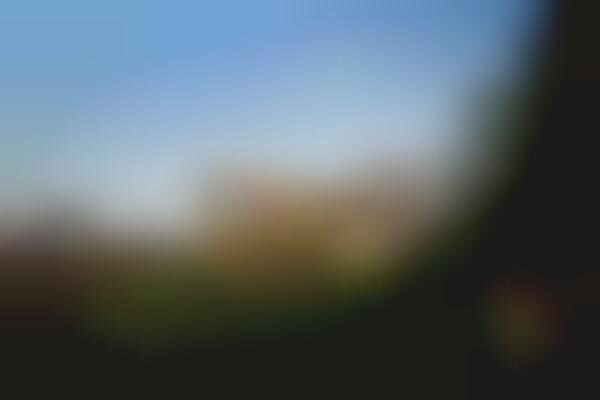 Elevated Beachside Abodes : bay house