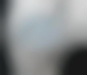 Luxury Floral Timepieces : Margot Watch