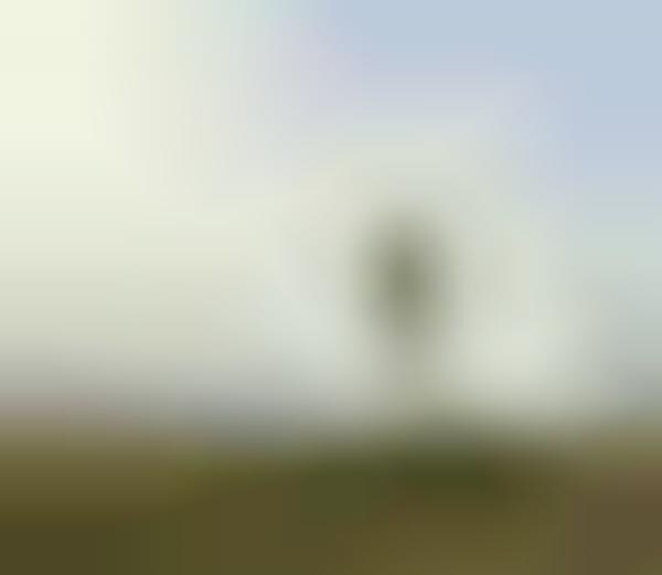 International Ancient Organism Photography : Rachel Sussman