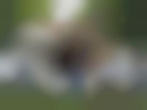 Vortex Art Homes: The Inversion House