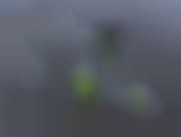 Posture-Adjusting Bikes : flexi-bike