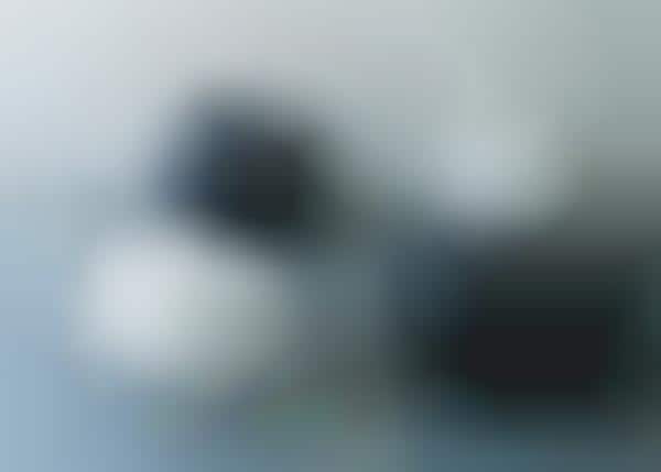 Twisted Sponge Seating : spongy seats