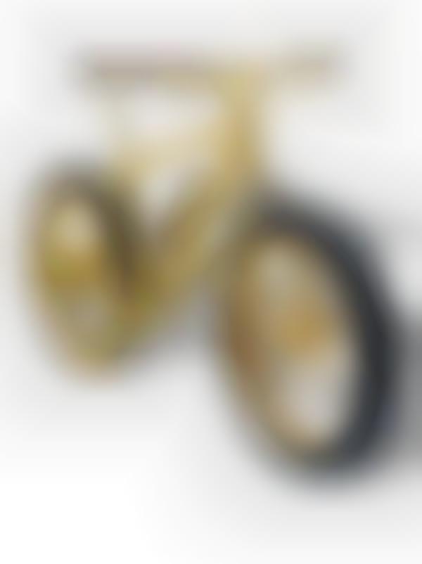 Gilded Mountain Bikes : gold bike