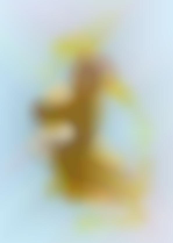 Abstractedly Stacked Photography : wyne veen photography