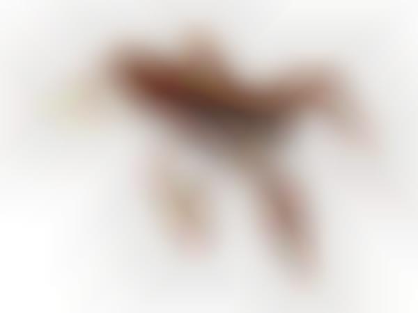 Bug Art: Tiny Glass Insect Sculptures