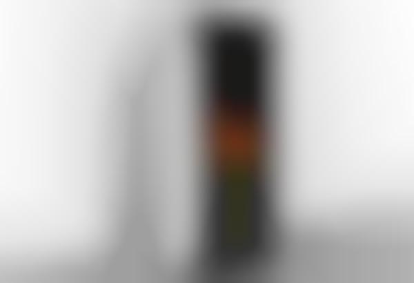 Futuristic Freestanding Stoves : Freestanding Stove