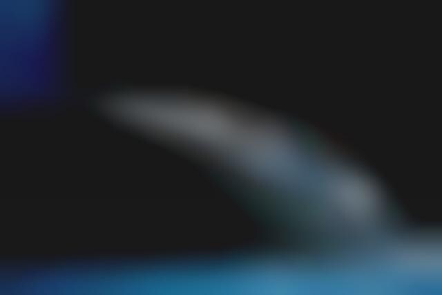 Airborne Water Park Photography : Krista Long