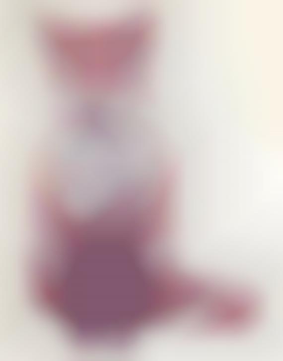 Angular Animal Illustrations : fox art print