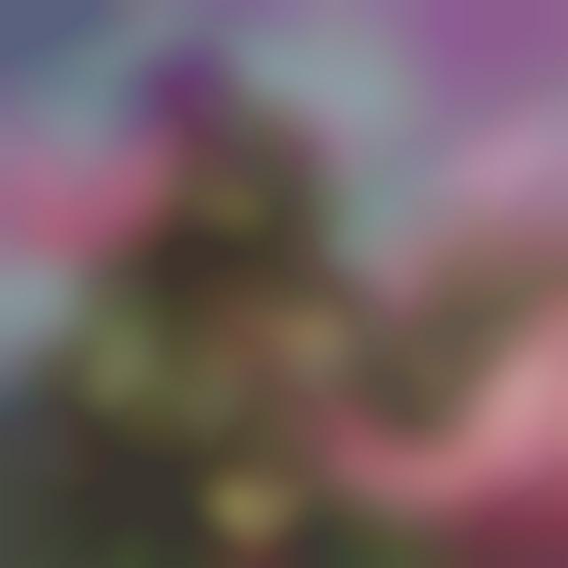 Iconic Turtle Illustrations : TMNT art