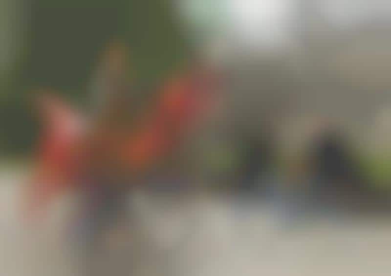 Prehistoric Dinosaur Bikes : Dinosaur Bike