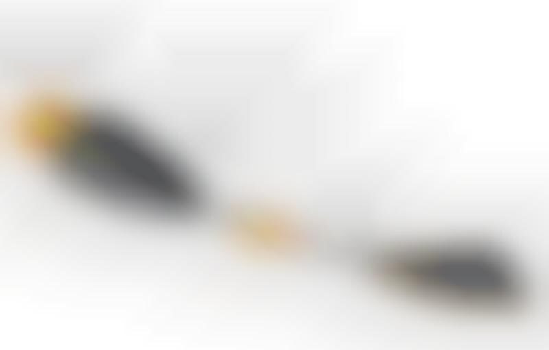 Streamlined Prosthetic Flippers : Elle prosthetic