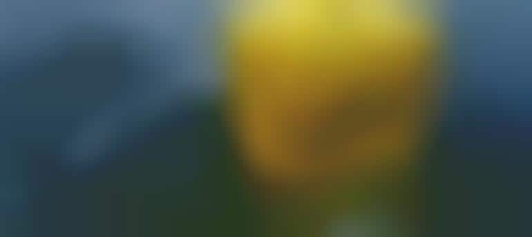 Floating Energy Generators : WaveNet