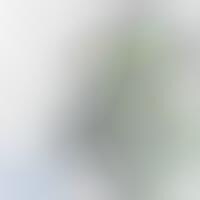 Build-Your-Own Spybot: 'Spyke' The DIY WiFi Robot