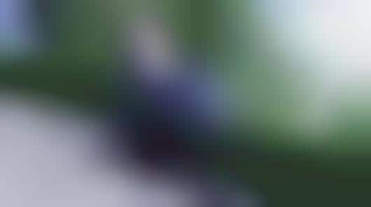 Stair-Climbing Wheelchairs : Scalevo