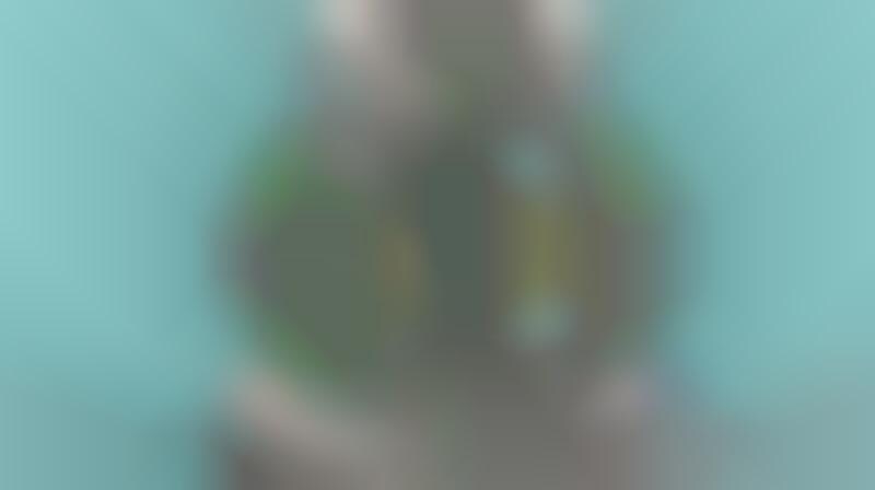 Inexpensive Nuclear Reactors : ARC reactor