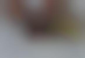 Finger Food Utensils: Trongs