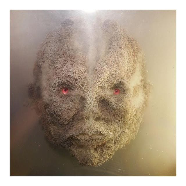 Moss-Covered Face Portraits : moss-covered