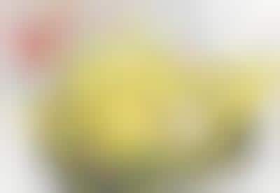 Artistic Food Journals : artsy foodie