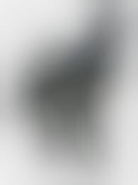 Stair Climbing Robot Wheelchair: The iBot Mobility System