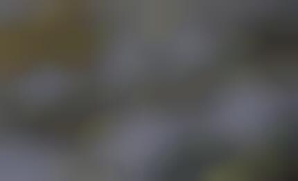 Green Graveyards: The Solar-Powered Santa Coloma Cemetery