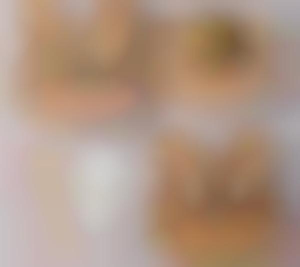 Critter Divider Plates : divider plate