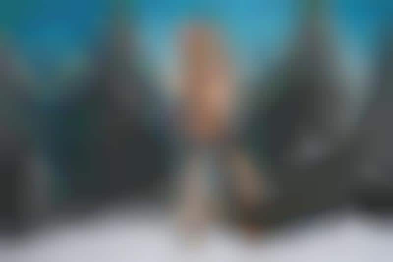 Snowy Lingerie Lookbooks : Holiday Lingerie