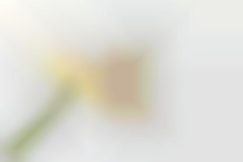 Rejuvenating Hair Wraps : Hair Wrap