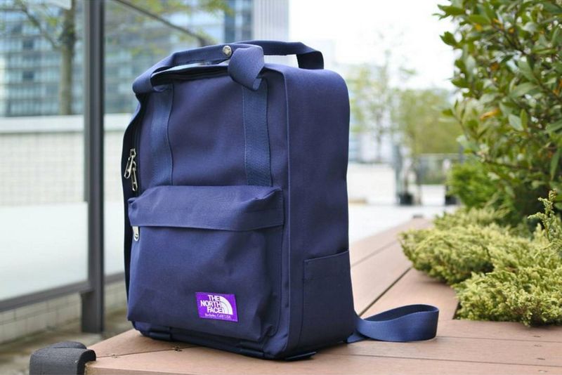 Picnicking Backpack Designs : Day Pack