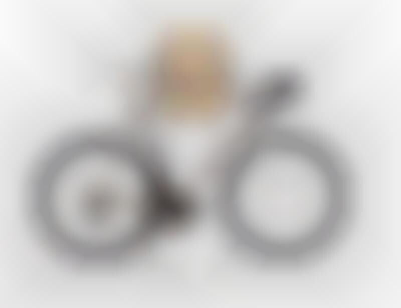 Organizational Bicycle Rakes : indoor bike storage