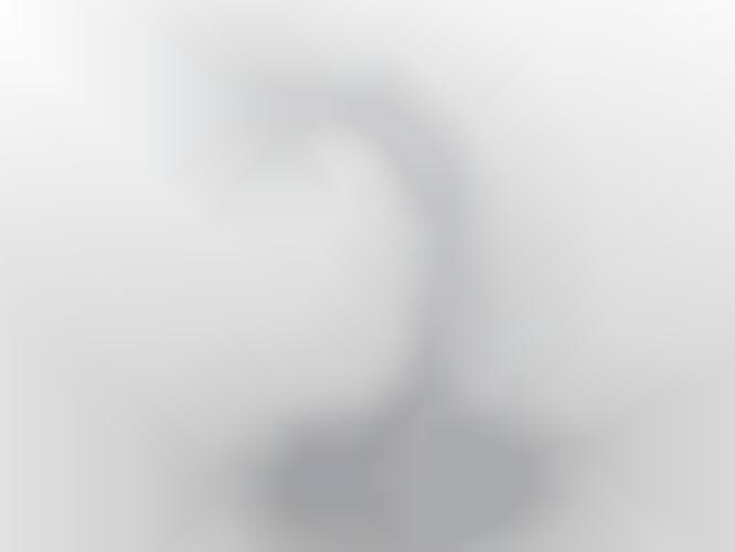 Flexible Smartwatch Stands : smartwatch stand