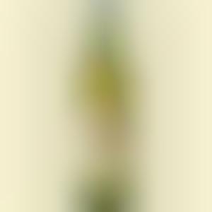 Regional Holiday Liqueurs: Tis the Season to Drink Strong Spirits, Like ...