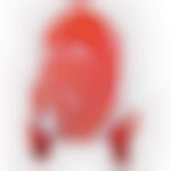 Meaty Steak Backpacks : raw meat