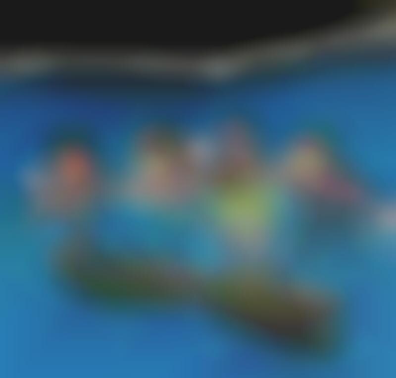 Faux Alligator Pool Guards : pool guard