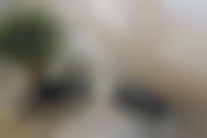 Rabbit-Eared Chargers : dual charger