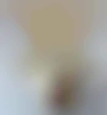 Animal Floor Coverings: The Monster Skin Rug is Creepy but Cuddly