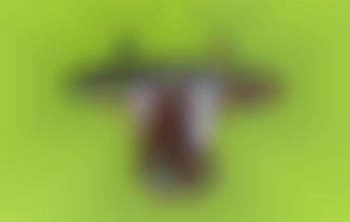 Cow-Monitoring Stomach Implants : smaxtec