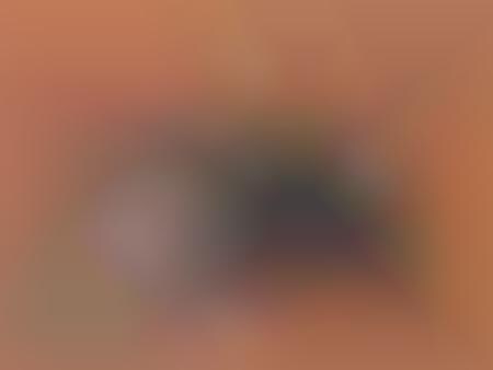 Transparent Designs: 10 Totally Clear Innovations With Nothing to Hide