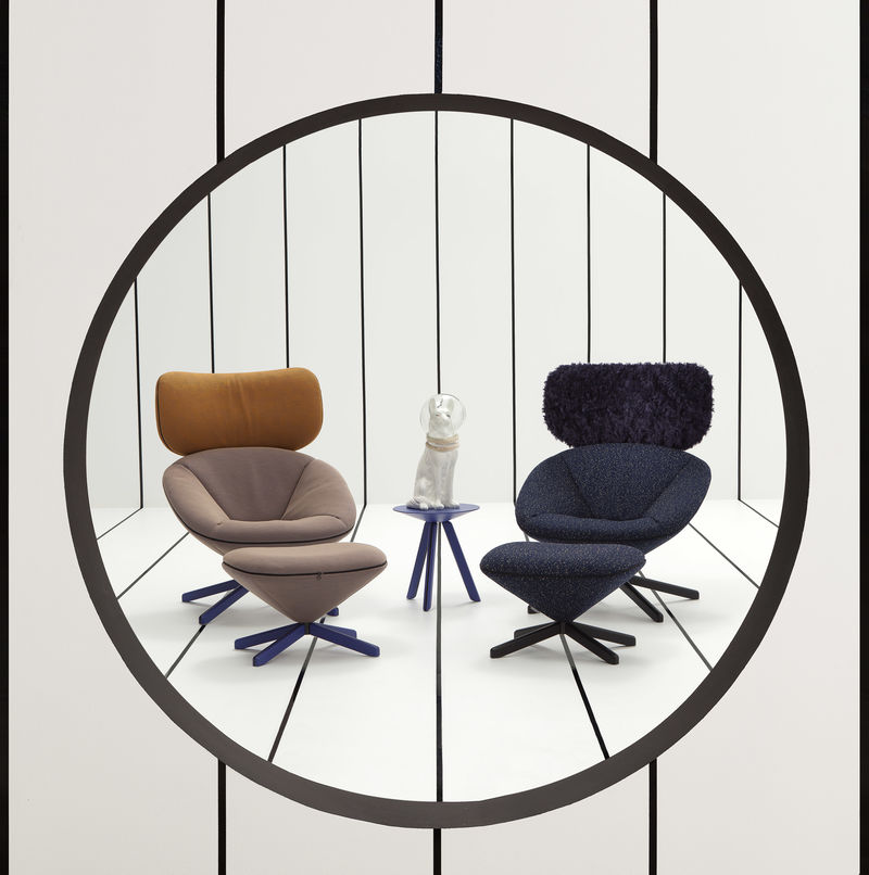 Tortoise Shell Chairs : tortuga chair