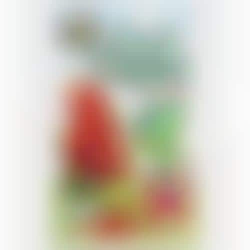 Pear-Based Natural Fruit Snacks : natural fruit snacks