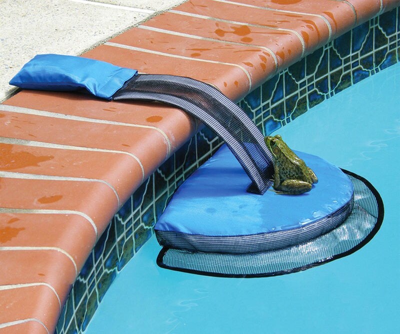 Floating Frog Safety Platforms : frog log