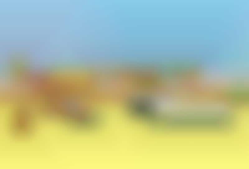 Minimalist Designer Toy Cars : wood toy car