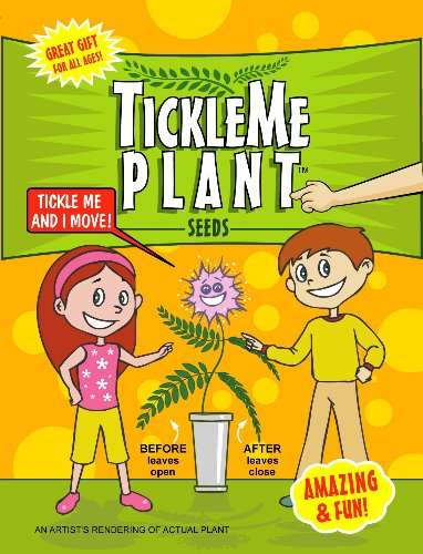 Animated Vegetation: The Tropical Tickle-Me Plant's Leaves Move When ...
